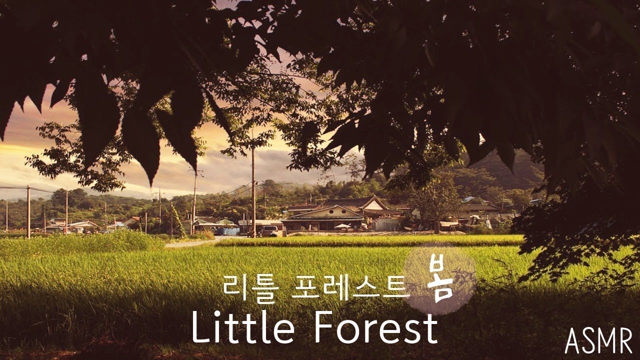 ASMR 영화 리틀 포레스트, 봄 ∞ Movie Little Forest, 'Spring' Ambience Sounds ...