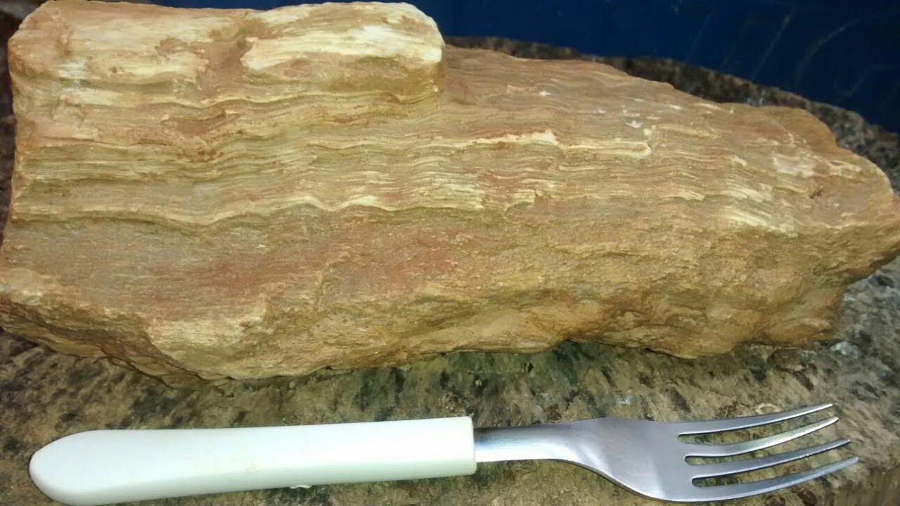 DESCOBRI RARO FÓSSIL DE ÁRVORE PETRIFICADA E CRISTAIS ( descovered ...