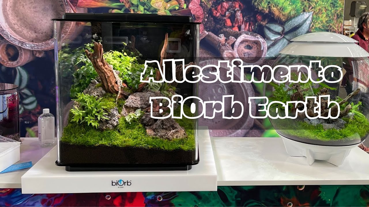 Allestimento Live BiOrb Earth 125 - Esotika Pet Show - AquaReptilExpo ...