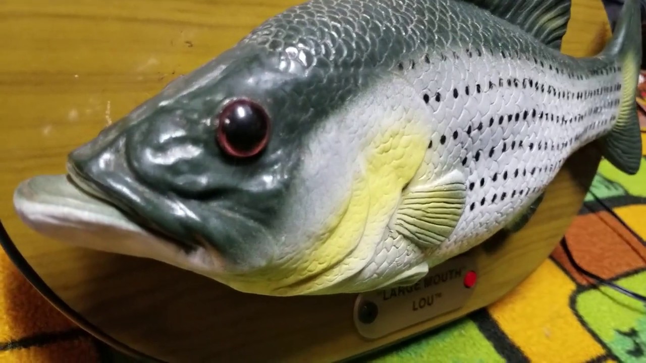 Large Mouth Lou Singing Fish - YouTube