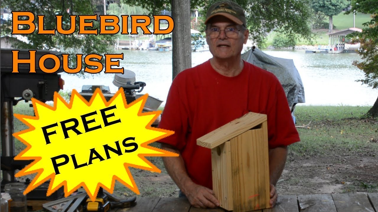 What you should know about building a bluebird house. - YouTube