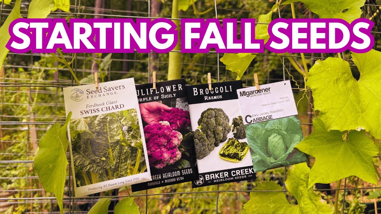 Fall Prepping | Seed Varieties | Seed Starting all in One!! August 2025 ...