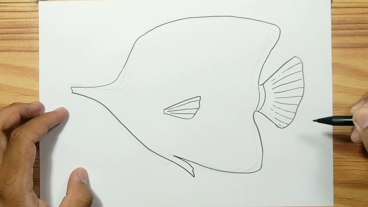 How to draw COPPERBRAND BUTTERFLYFISH - YouTube