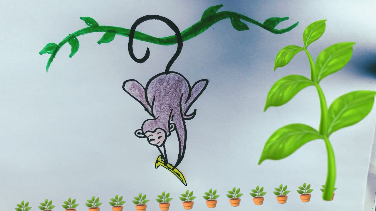 How to draw a Monkey || Monkey drawing easy || Easy Animals drawing ...