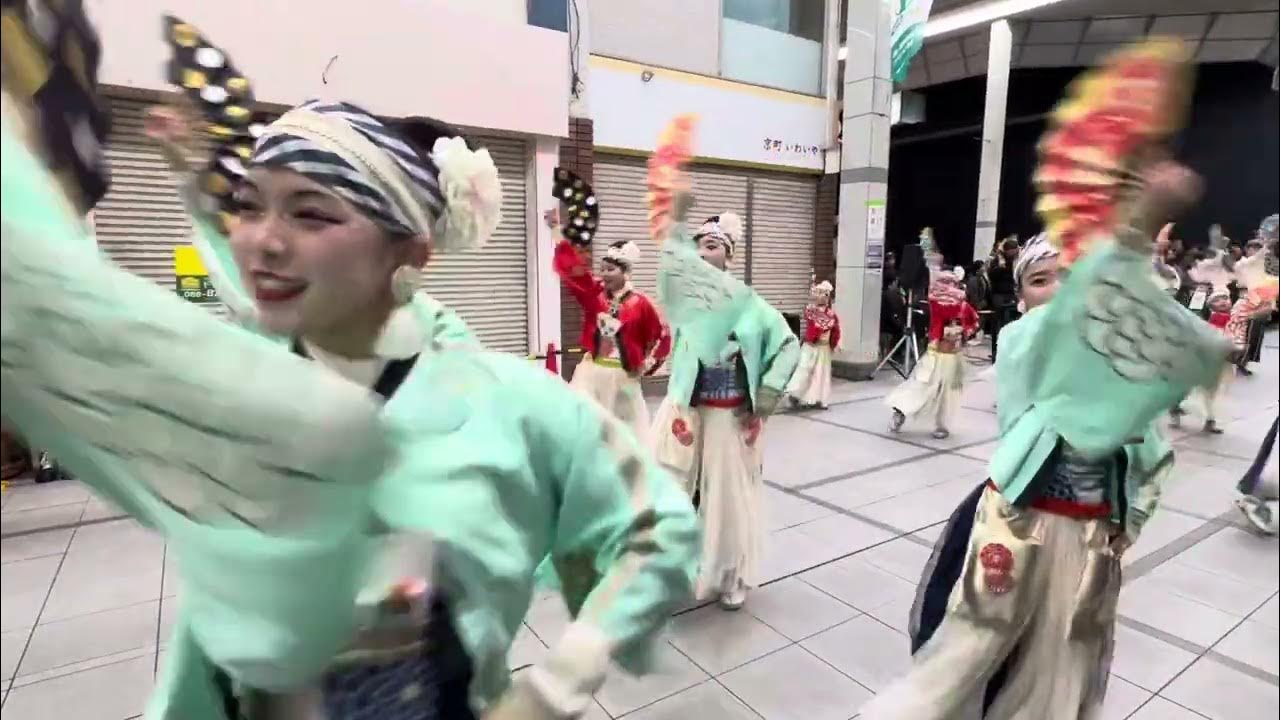 Tosa no Okyaku Festival -5 @ Kochi ( 土佐的清酒祭） 03/09/2024 - YouTube