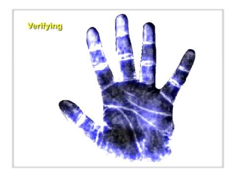 Palm Print Scan - YouTube