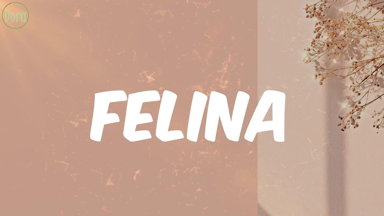 Hector & Tito - Felina (Letra) - YouTube