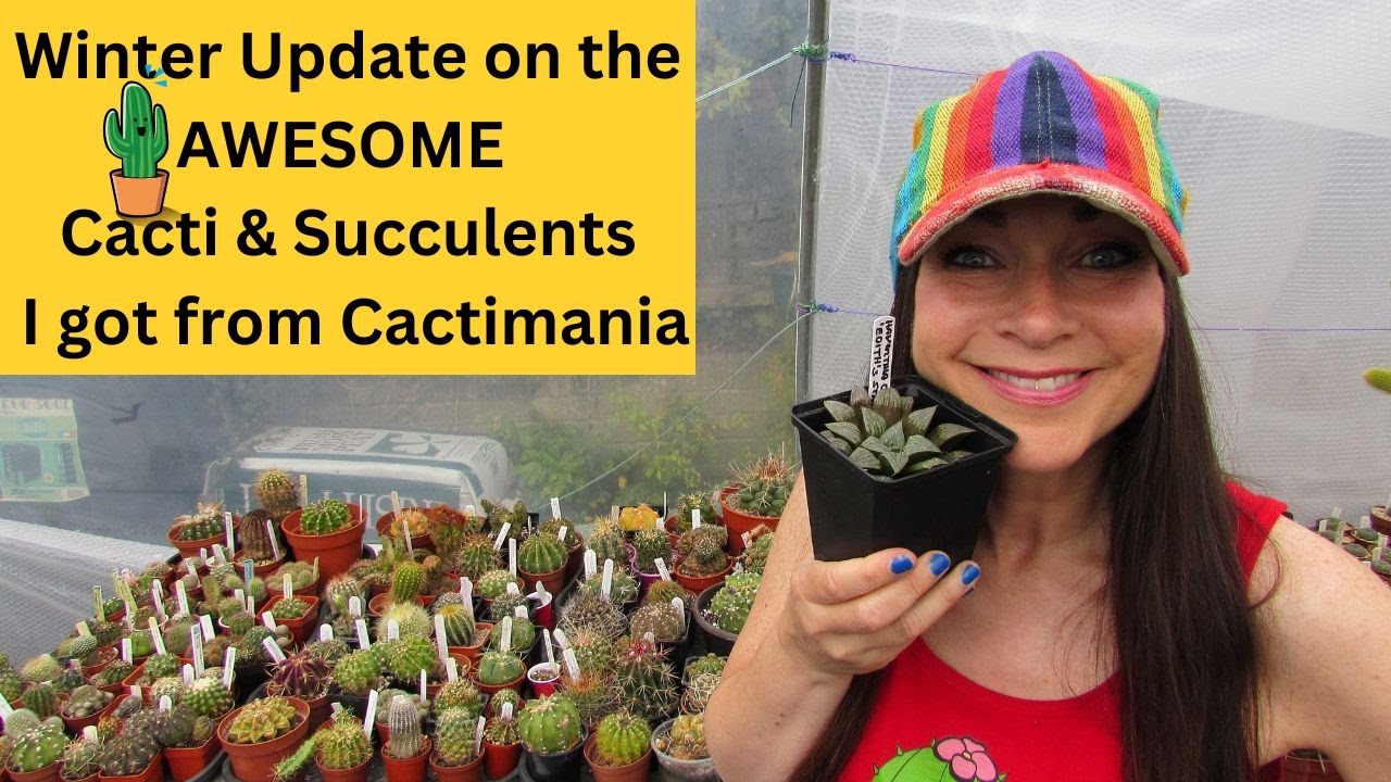 Update on the AWESOME Cacti & Succulents I got from @Cactimania #cacti ...