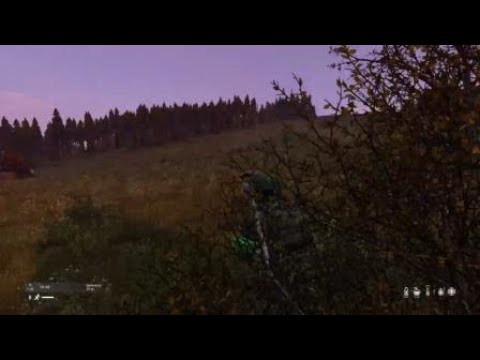 DayZ The Trees Are Moving - YouTube