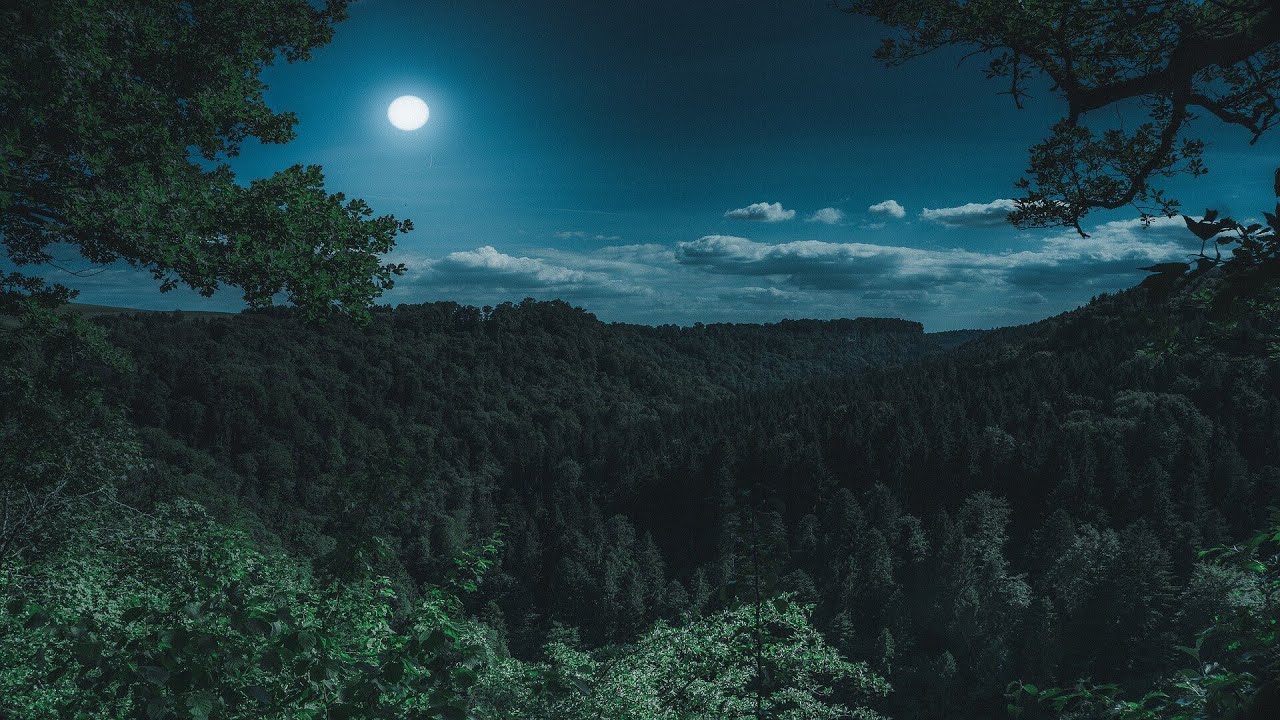 ONE HOUR - SOUNDS OF NATURE - NIGHT SOUNDS - SERENE - CALM - SOOTHING ...