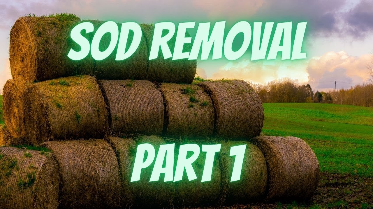 SOD REMOVAL PART 1 - YouTube