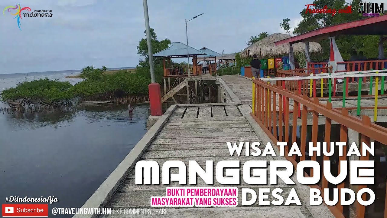 WISATA HUTAN MANGGROVE DESA BUDO BUKTI SUKSES PEMBERDAYAAN POTENSI DESA ...