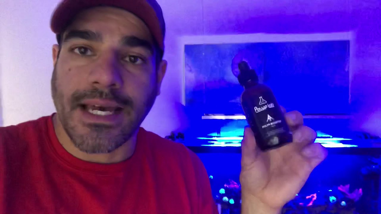 Feeding Coral & Fish with PolypLab Booster & Reef Roids - YouTube