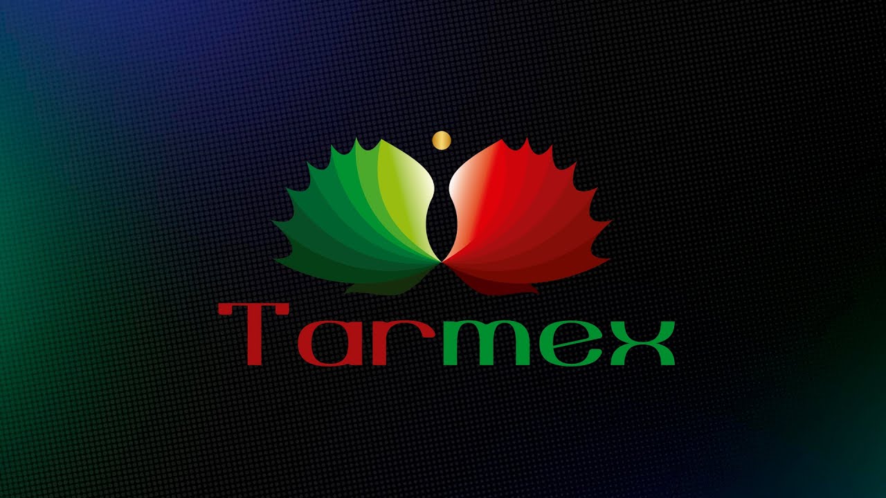 TARMEX OFICIAL - YouTube
