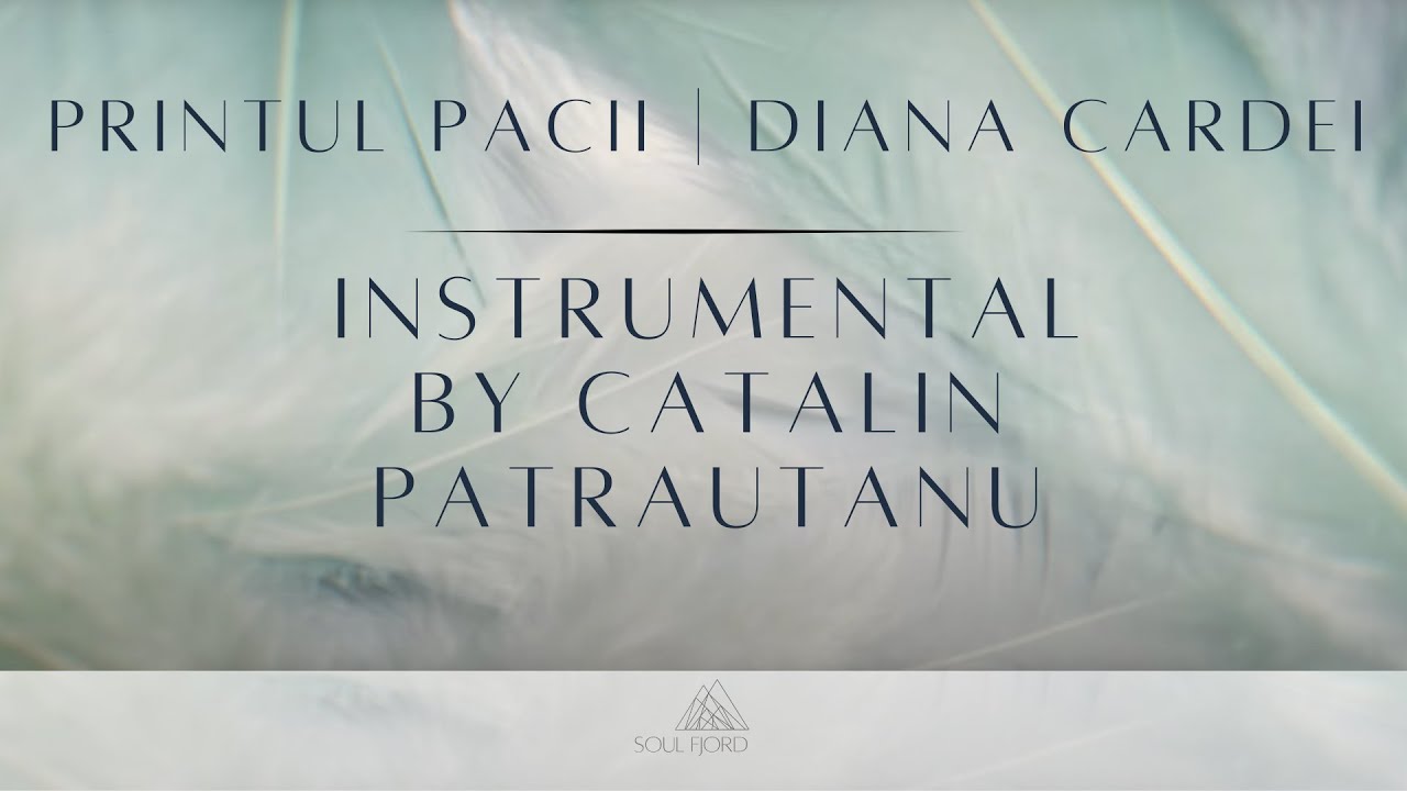 Printul Pacii - Instrumental with lyrics - YouTube