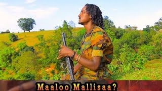 New Oromo Music Jaal Nimoonaa Mokonnoon Maaloo Malliisa 2024 Waadaa ...