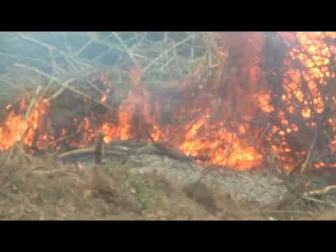 Cháy rừng phá rừng cartoon baby childerm toy superman cartoon smart childerm