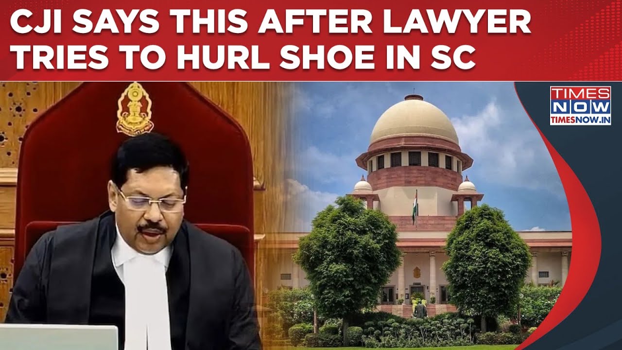 Shocking Supreme Court Scenes, CJI Says This After Lawyer Tries To Hurl ...