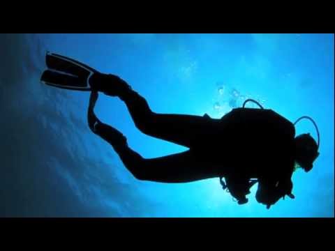 Underwater Series Sound Effects Library - YouTube