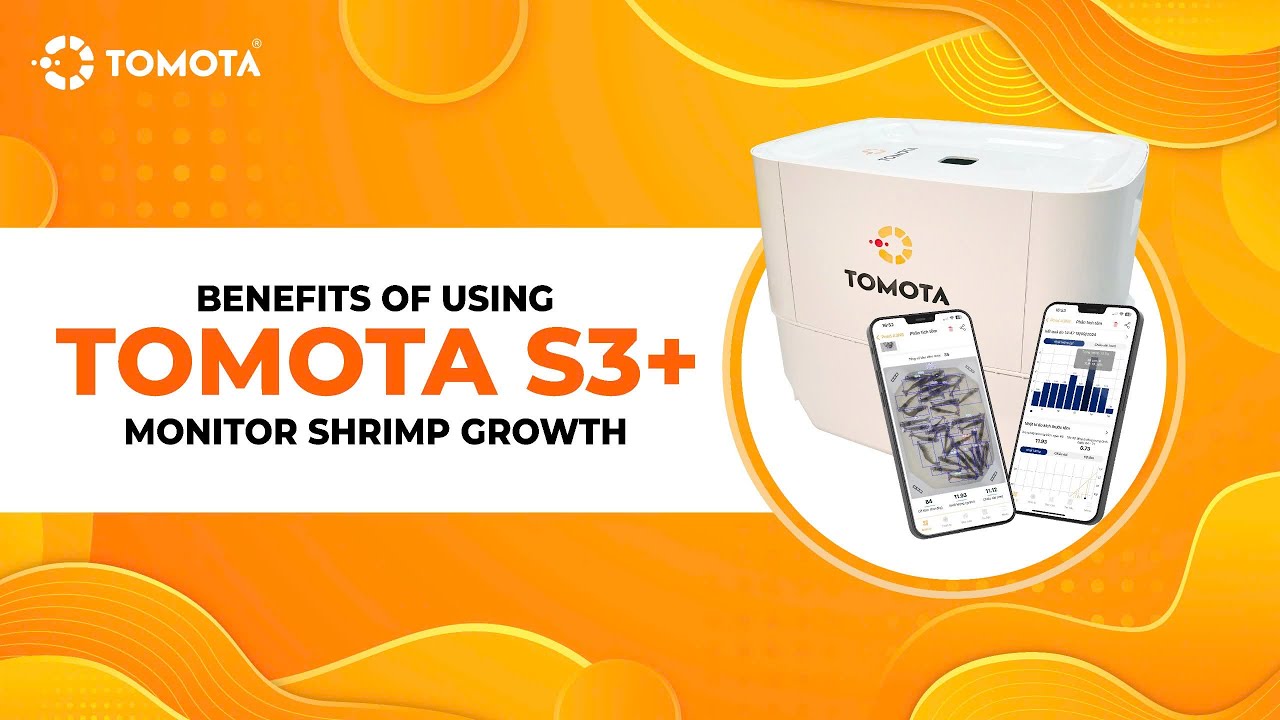 BENEFITS OF USING TOMOTA S3+ - MONITOR SHRIMP GROWTH - YouTube