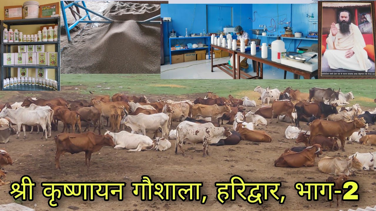 एक गौ-सेवक वैज्ञानिक का किसानों के नाम संदेश || Shree Krishnayan ...