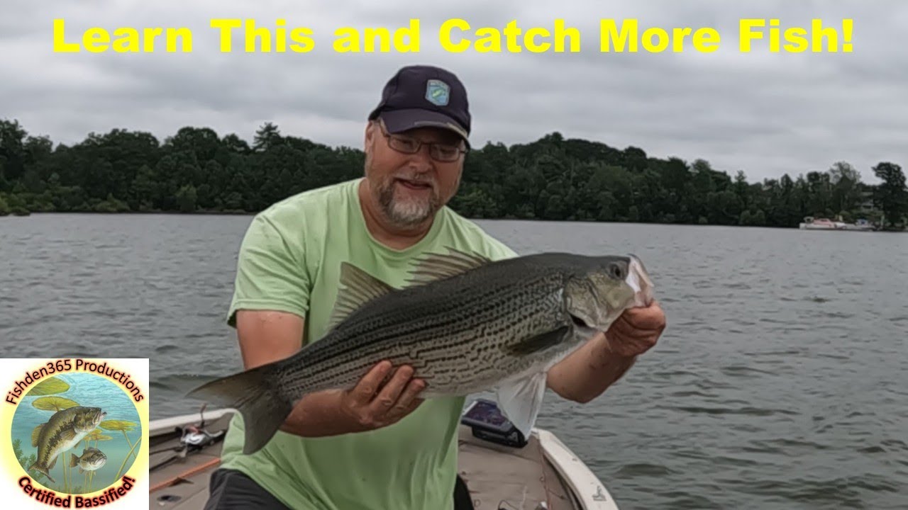 This Fishing Technique Catches Everything! - YouTube