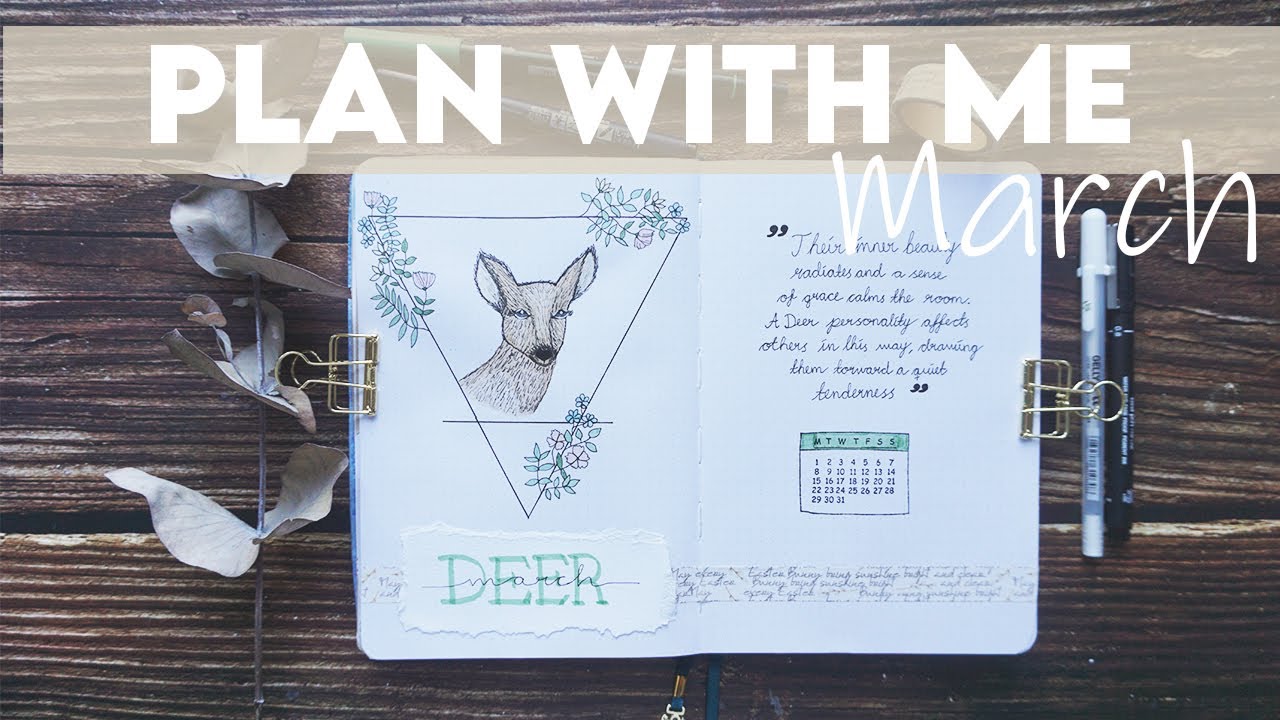 PLAN WITH ME - March - Shapes in Bloom - YouTube