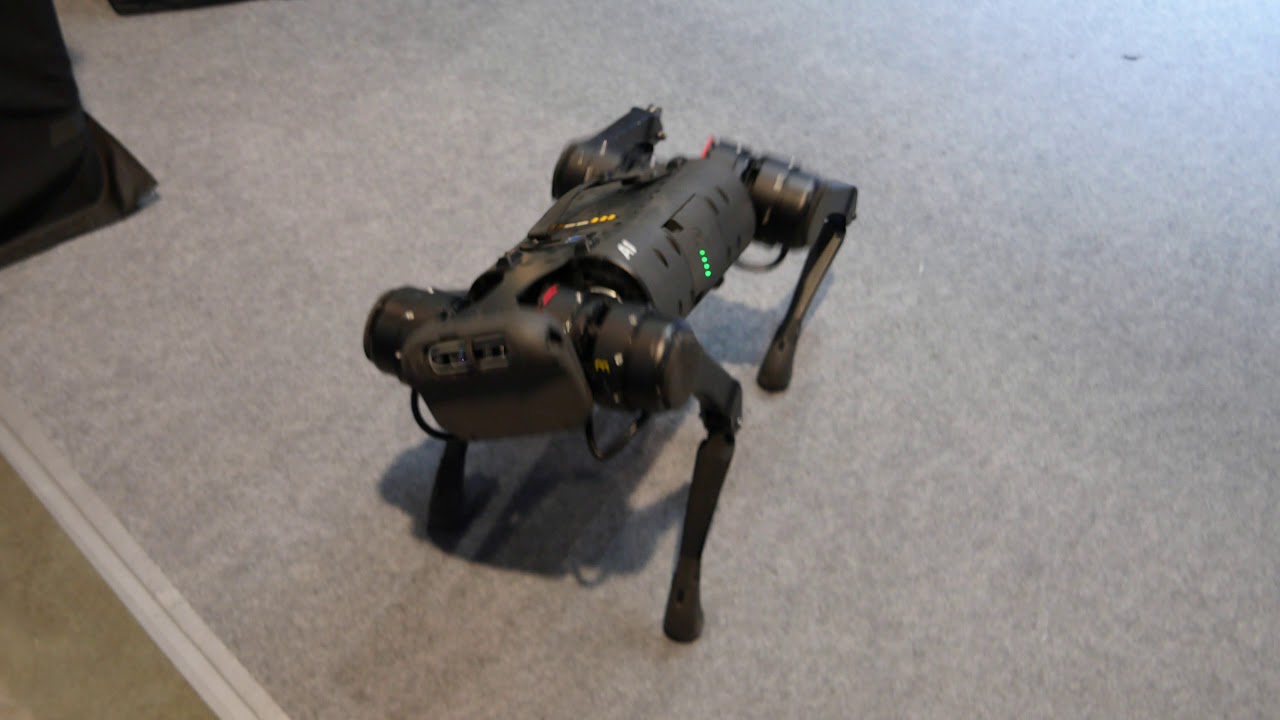 Unitree Robot from CES 2020 - YouTube