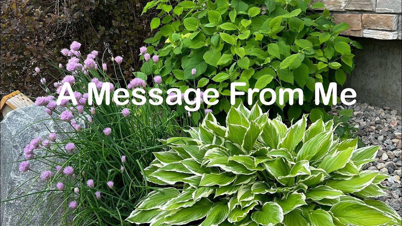 A Message From Me - YouTube