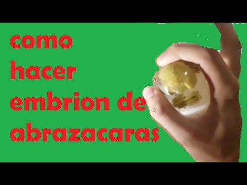 como hacer embrion abrazacaras de alien covenant - YouTube