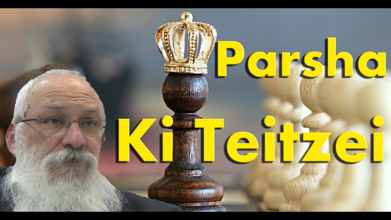 Parsha Ki Teitzei | an In Depth Analysis with Kabbalistic Insights ...