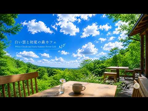 白い雲と初夏の森カフェ – White Clouds and Early Summer Forest Café