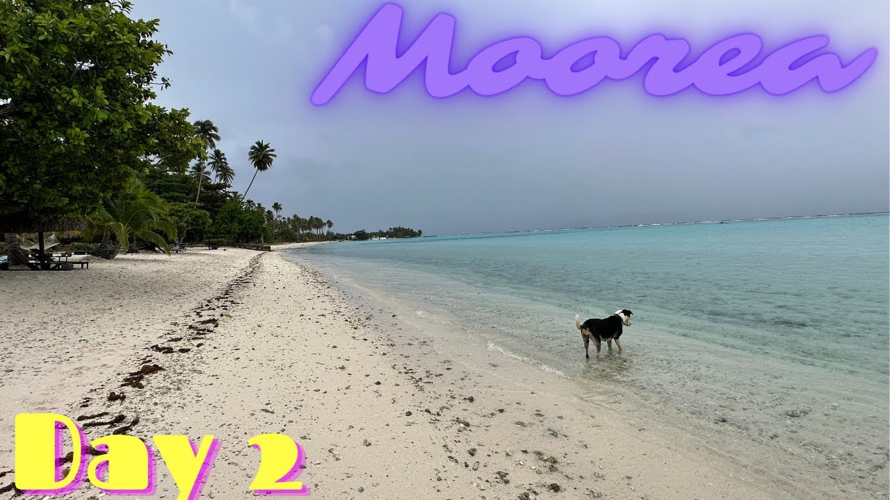 MOOREA DAY 2 - 9/4/23 | GO PRO DEBUT - YouTube