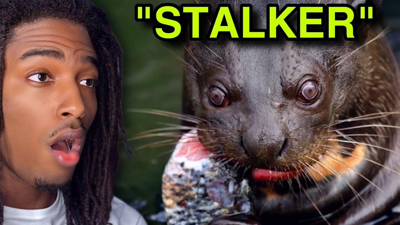 10 Most Disturbing Ways Animals Hunt HUMANS.. - YouTube
