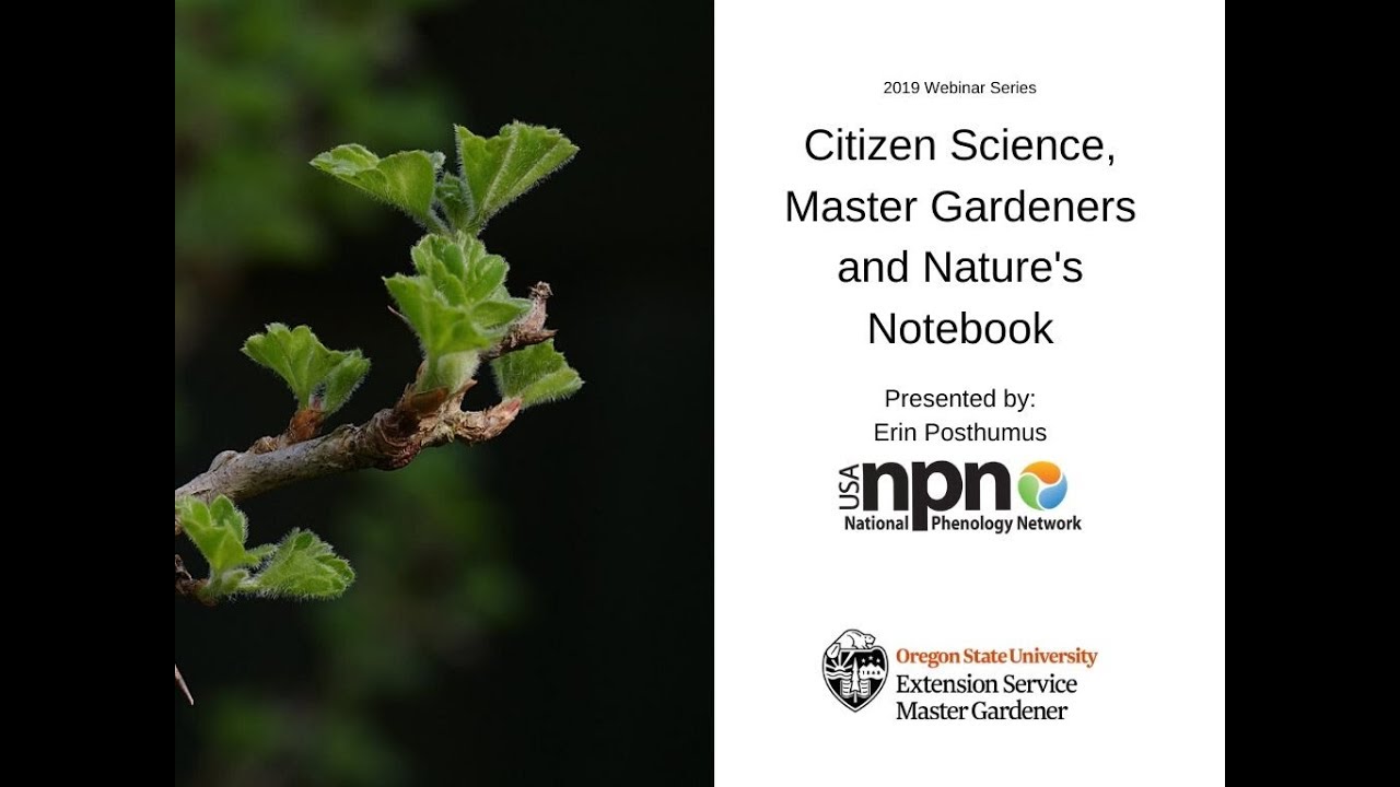 Citizen Science, Master Gardeners & Nature's Notebook - YouTube