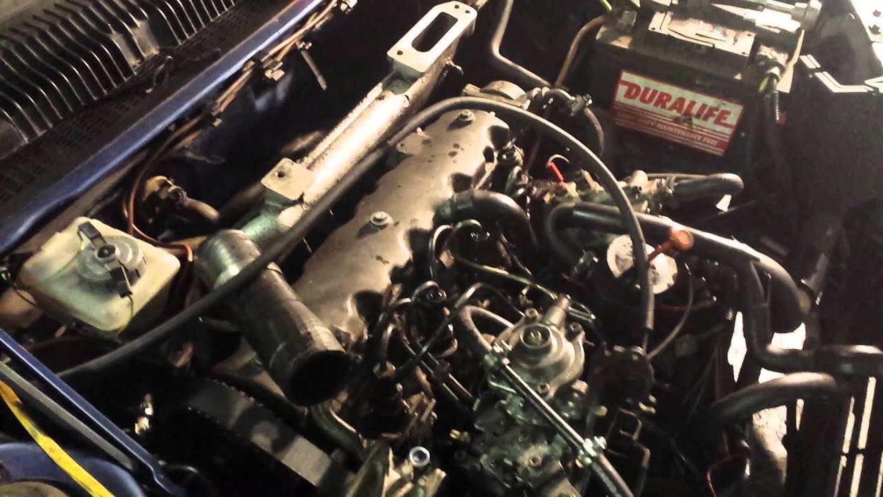 Peugeot 205 XUD9 First Start - YouTube