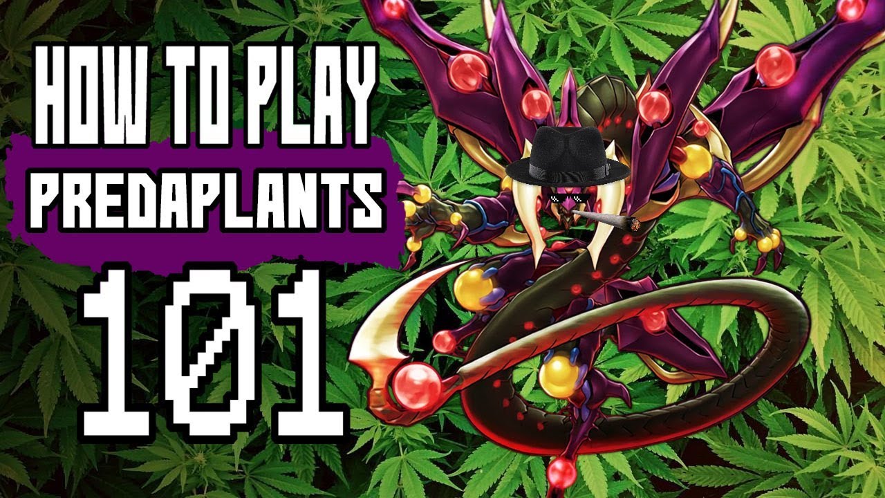 How To Play Predaplants 101 - YouTube