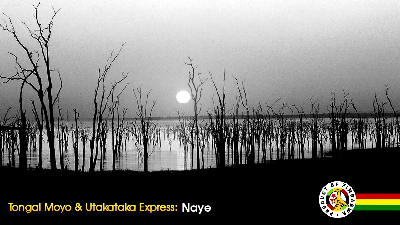 Tongai Moyo - Greatest Hits - YouTube