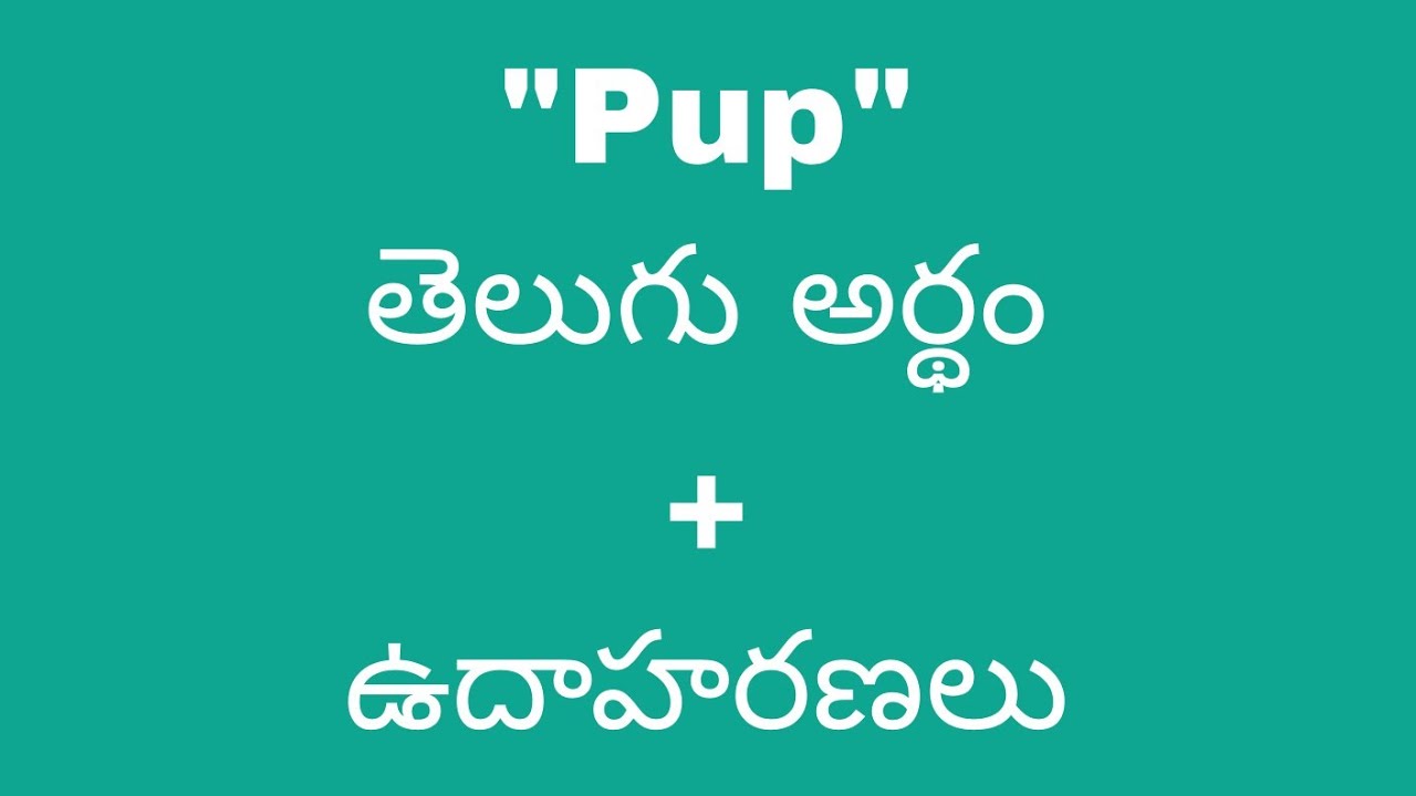 Pup Meaning In Telugu With Examples Pup Meaning In pup-meaning-in-telugu-with-examples-pup-meaning-in