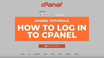 cPanel Basics - YouTube