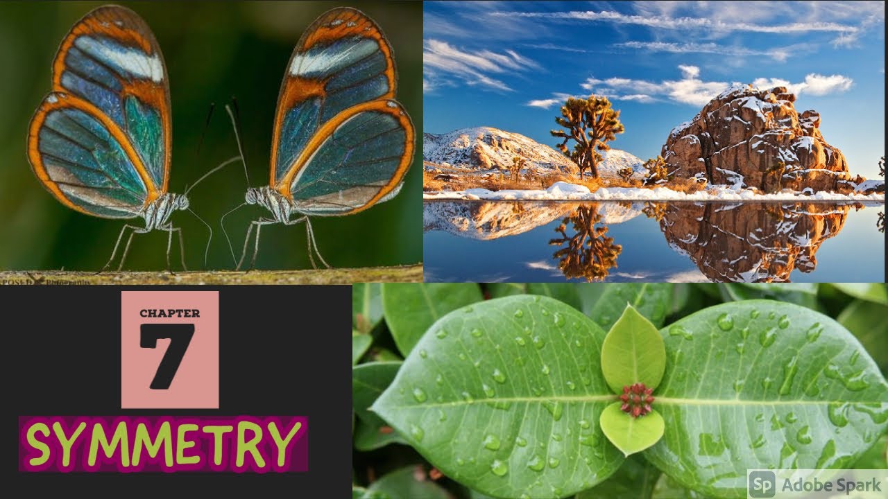 Maths | Class 6 | Lesson 7 | Symmetry | Reflexive Symmetry | Drawing ...