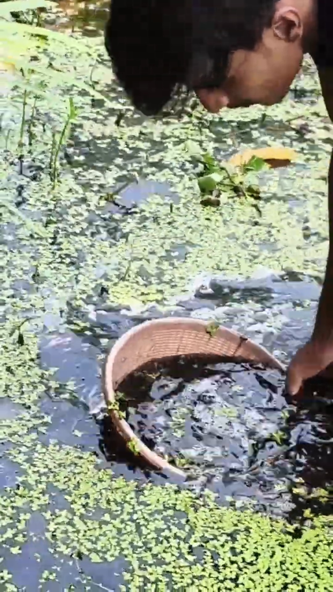 Mera turtle Kho Gaya Hai #fishing #animal - YouTube