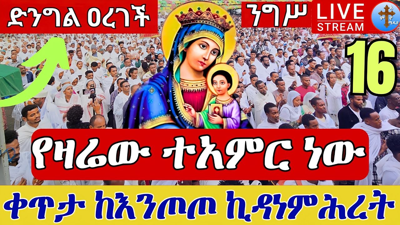 ⭕️live 👉የዛሬው ተአምር ነው 👉 ደማቅ ንግሥ ነሐሴ 16 የእመቤቴ ዕርገት ቀጥታ ከእንጦጦ ሐመረ ኖኅ ቅድስት
