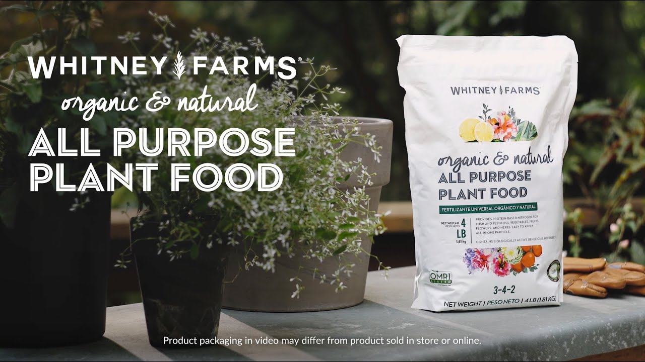 How To Use Whitney Farms All-Purpose Plant Food - YouTube