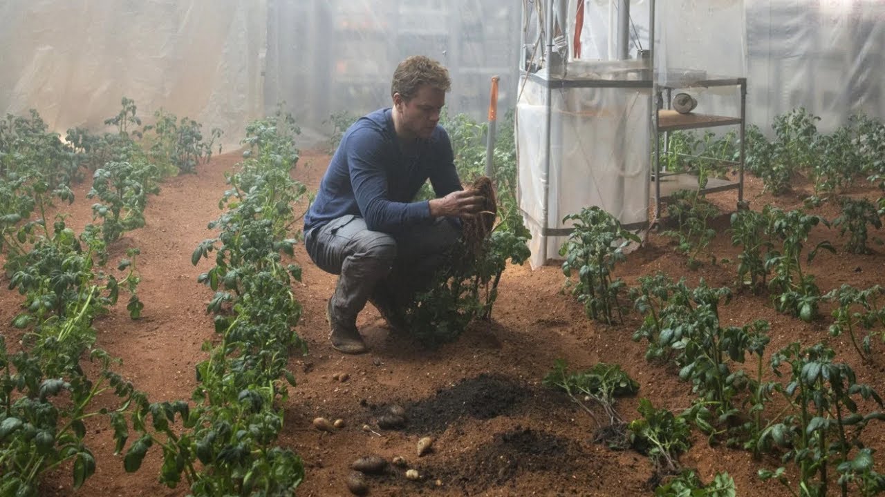 An Astronaut Becomes Stranded On Mars, He Grow Potato Using His Poop ...