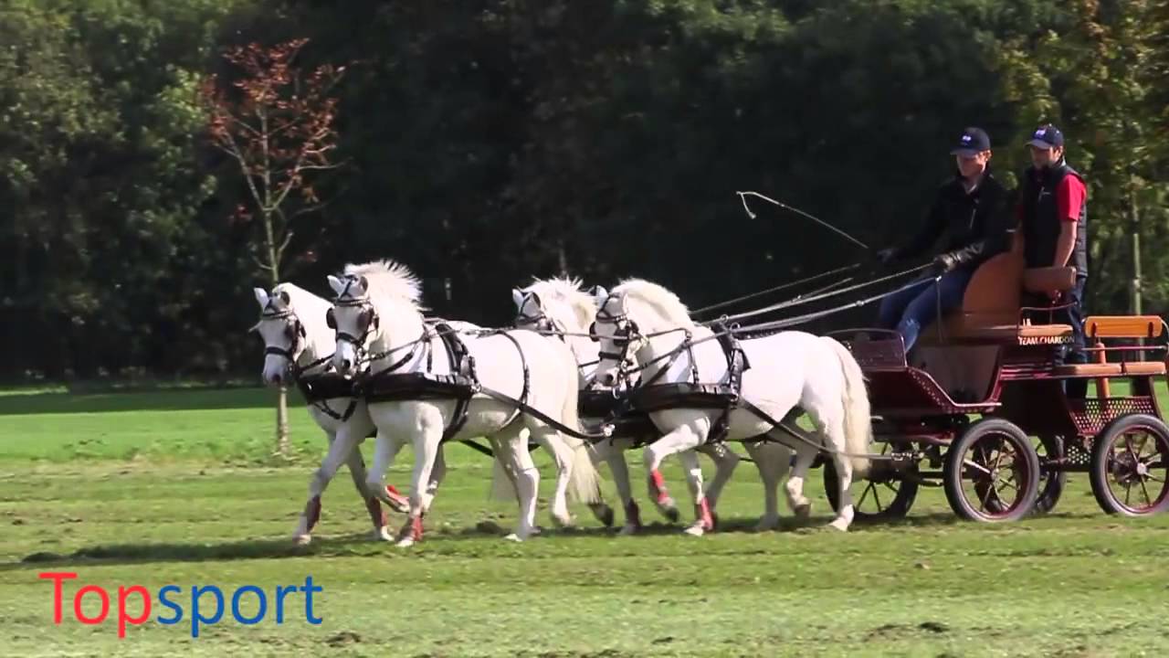 Manege Chardon - YouTube