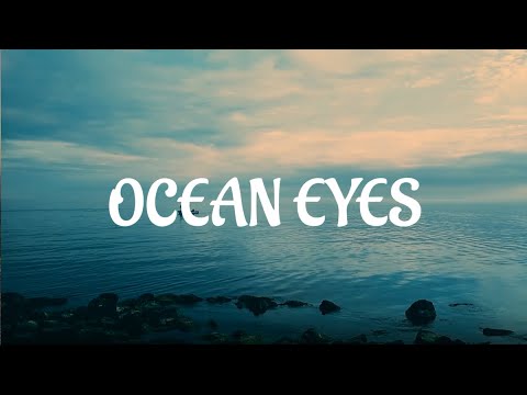 Billie Eilish - Ocean Eyes | (Cover by S. Hakan ÖZTÜRK) - YouTube Music