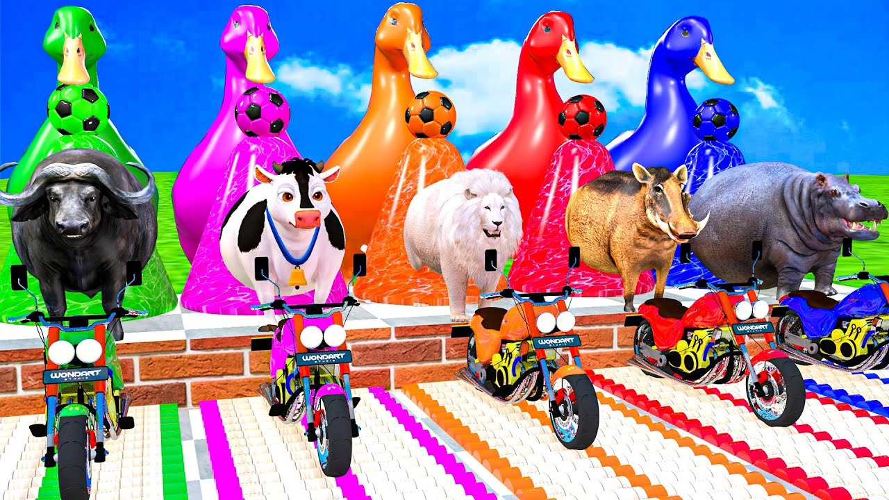 5 Giant Duck Cartoon,Cow,Elephant,Giraffe,Tiger,Lion, Paint Wild ...