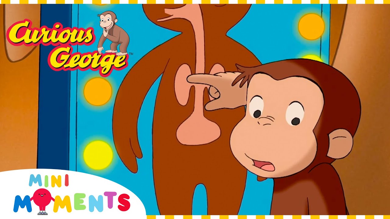 George Learns About His Body | Curious George | Compilation | Mini ...