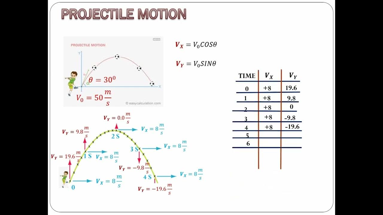 INTRODUCTION TO PROJECTILE MOTION - YouTube